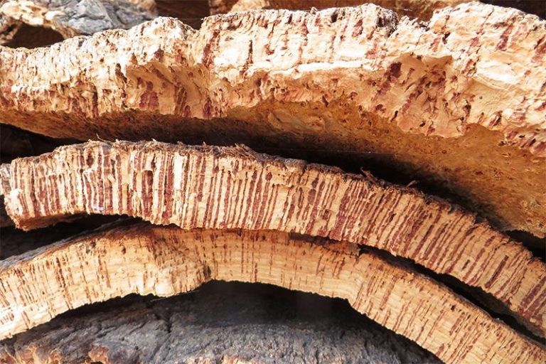 ¿En qué consiste la impresión digital sobre corcho?